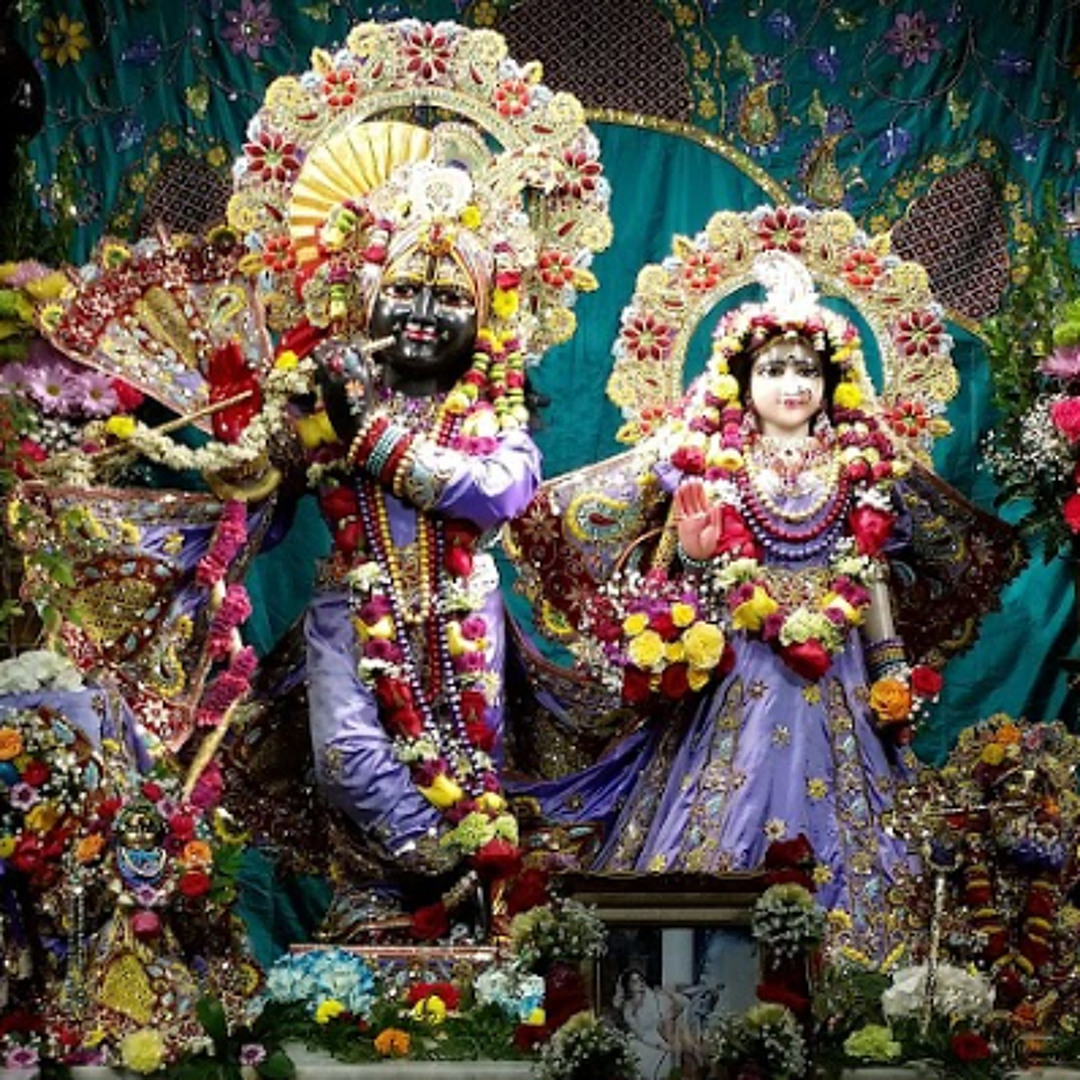 Stream Amala Harinam - Kirtan 50 2022 - Day 3 by Krishna Chaitanya ...