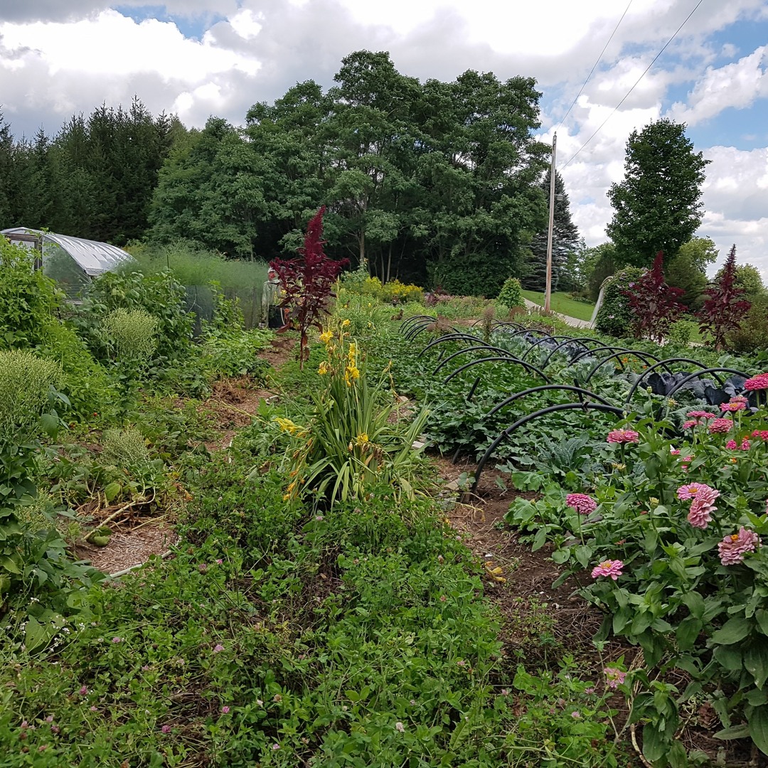 Stream episode Fit To Eat S2E22 David Goodyear by Ivan Emke podcast ...