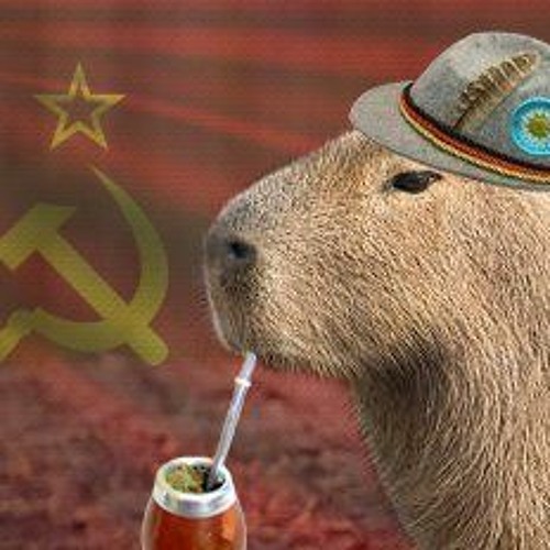 Stream 4.1 Capybara Sounds Dani y Brian by Radio Capybara | Listen ...