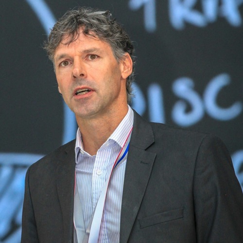 Stream episode The Future Leader Interview with Richard Perez by Dr009 ...