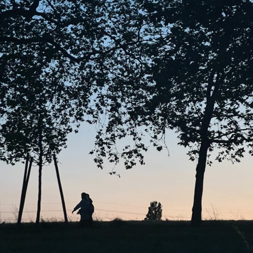 Stream lost in translation (demo) by nico murphy | Listen online for ...