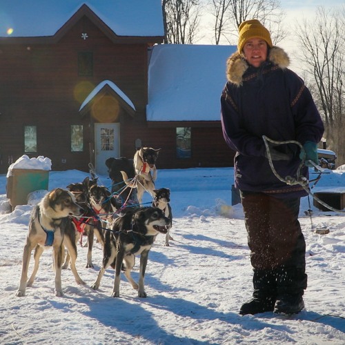 Stream Erin Altemus Prepares for the Alaskan Iditarod Sled Dog Race by ...