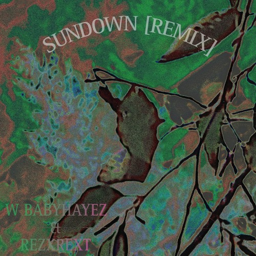 Stream Sundown [W BabyHayez & REZXREKT] [REMIX] by ZILLA$kAVE (ig ...
