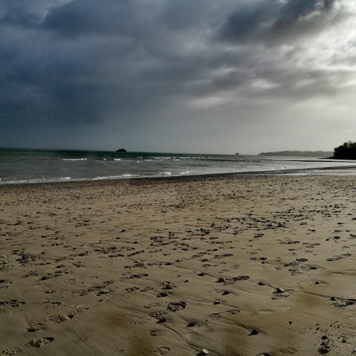 Stream my island by Mandi Buckingham | Listen online for free on SoundCloud