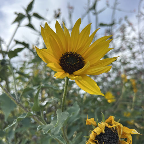 Stream I can take it away :) by Richard Galvan :) | Listen online for ...