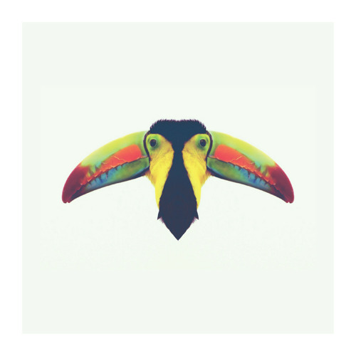 Stream Shame (Fonetik Simbol Remix) by Two Toucans | Listen online for ...