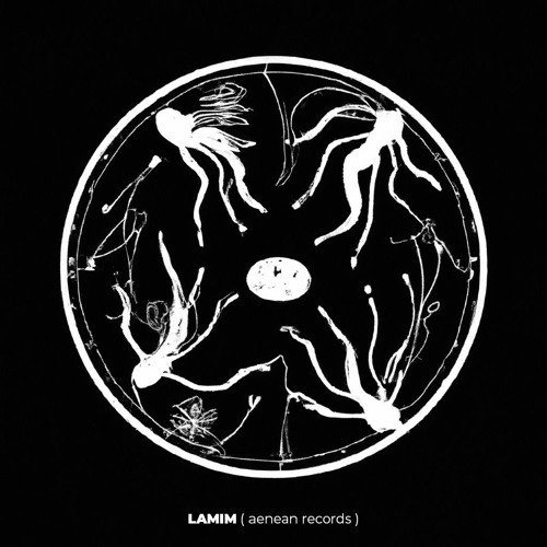 Stream Lamim • aenean by aenean | Listen online for free on SoundCloud