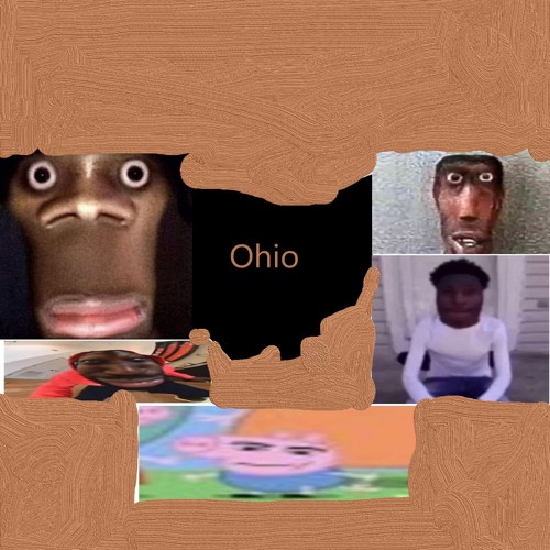 Stream Goofy Ahh Ohio by Dj Gokumane | Listen online for free on SoundCloud