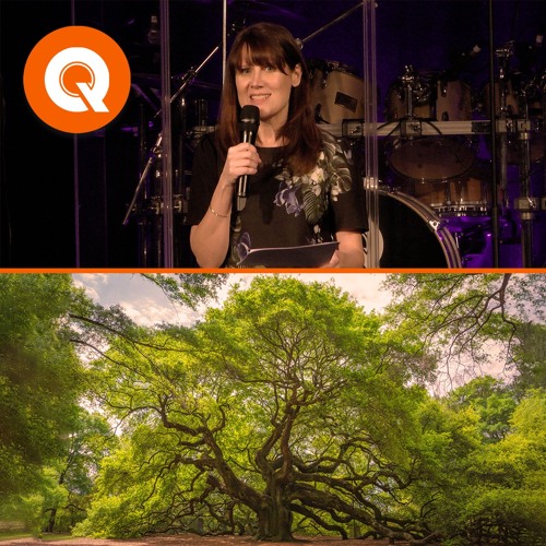 Stream The Four Stages Of Faith: Re-Wild God by QYork | Listen online ...