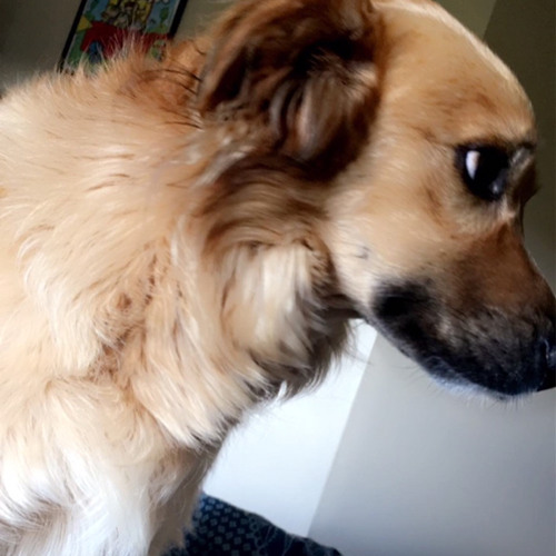 Stream wave by nicky kelly.official | Listen online for free on SoundCloud