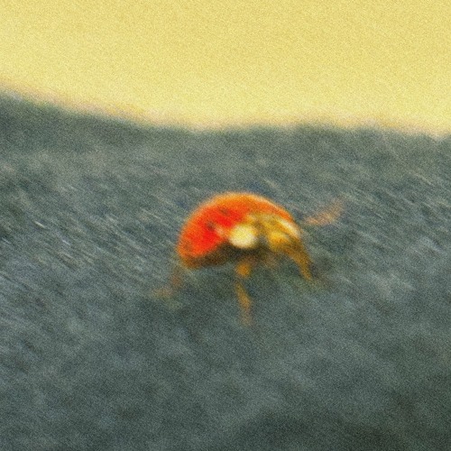 Stream BUG MARCH by mennyera | Listen online for free on SoundCloud