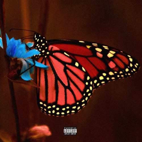 Stream One Life by Consey | Listen online for free on SoundCloud