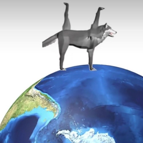 Stream AI wolf walking meme credits to: @lets_rock_59 on TikTok by Kebab inhaler | Listen online ...