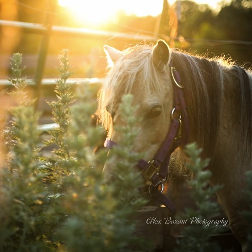 Stream Ephidia Dawson | Listen to Christian Feel Good playlist online ...