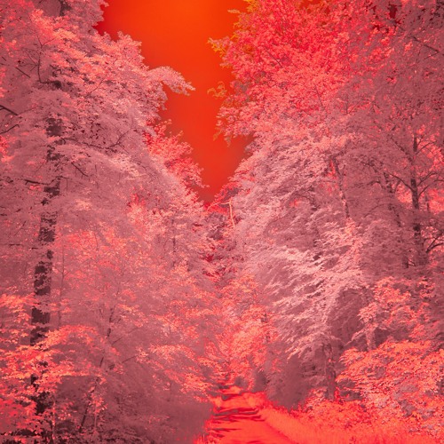 Stream Massive Attack - Teardrops (My Version) by Grayson Wells ...