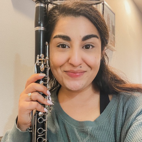 Stream Children's March for Woodwind Choir (Percy Grainger arr. Johnson ...