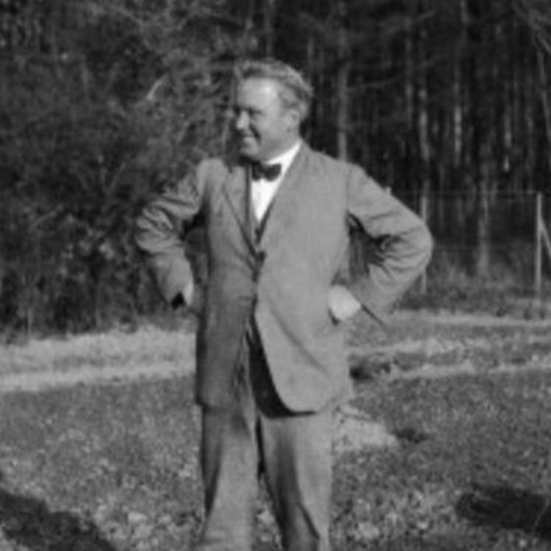 Stream episode 13. Plantagen og Hardy Hansen. by Fortællinger fra det ...