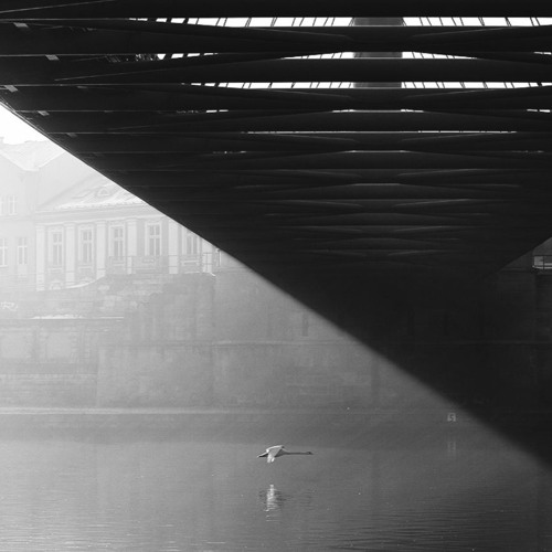 Stream DONDA (Kanye West Donda Type Beat) by DANNY CARGO | Listen ...