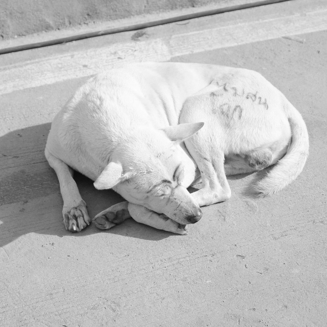 Stream Conversations. by Putter | Listen online for free on SoundCloud