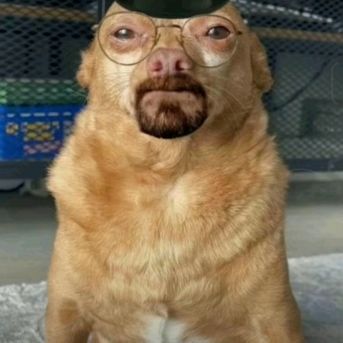 Stream BBQ CHICKEN ALERT by Dj Big Balls | Listen online for free on ...