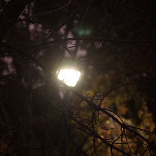 Stream eleven at night. by void | Listen online for free on SoundCloud