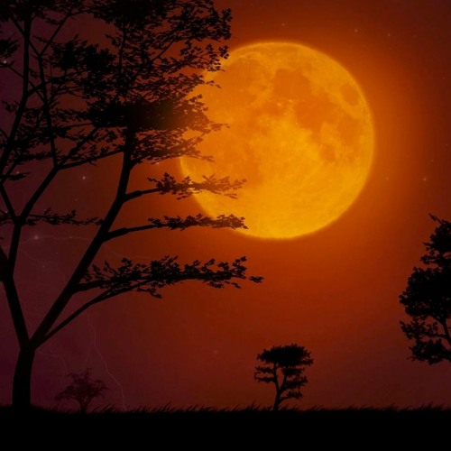 Stream Orange Moon - Piano Songs (Relaxing, magical, calming) by Piano ...