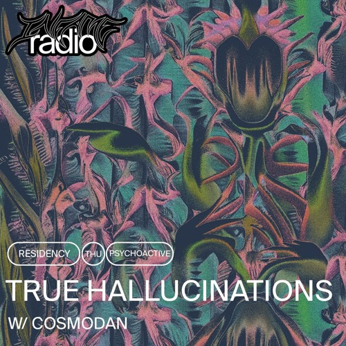 Terence Mckenna True Hallucinations