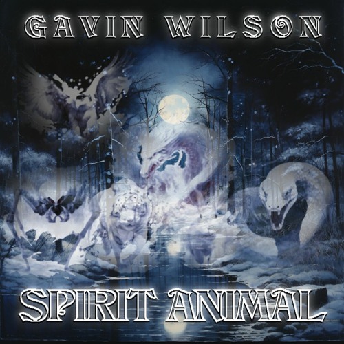 Stream The Spider by Gavin Wilson | Listen online for free on SoundCloud