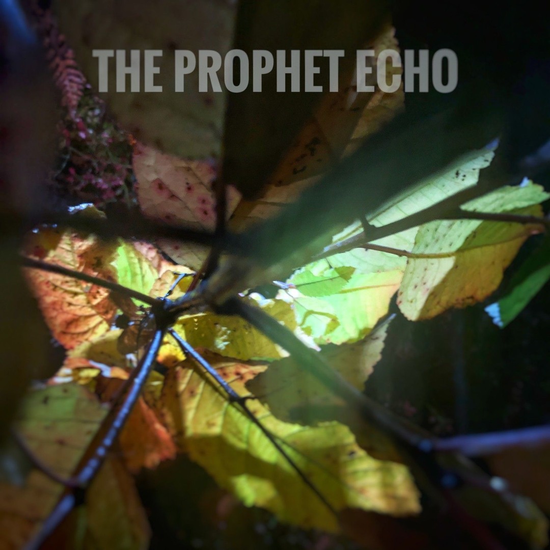 Stream Glaring At Your Screen by the Prophet Echo | Listen online for free on SoundCloud