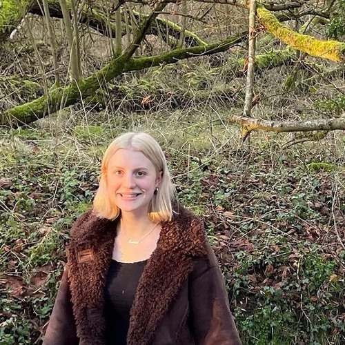 Stream Cabin in the Woods by Emma Kellar | Listen online for free on ...