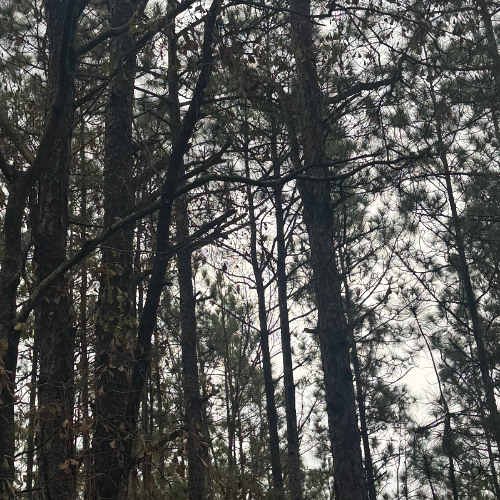 Stream moon chalk by purple presence | Listen online for free on SoundCloud