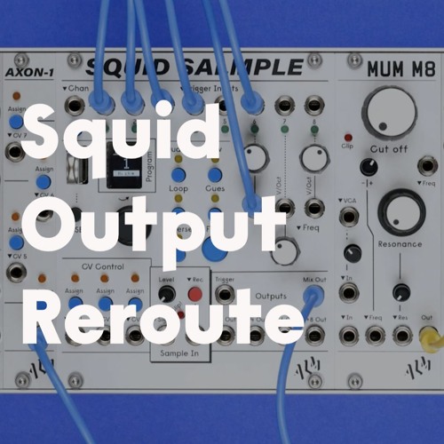 Stream Squid Output Reroute by ALM Busy Circuits | Listen online for ...