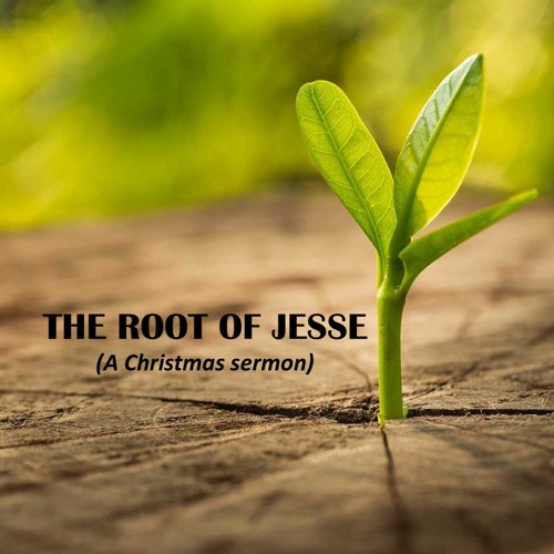 Stream The Root Of Jesse by Highway | Listen online for free on SoundCloud