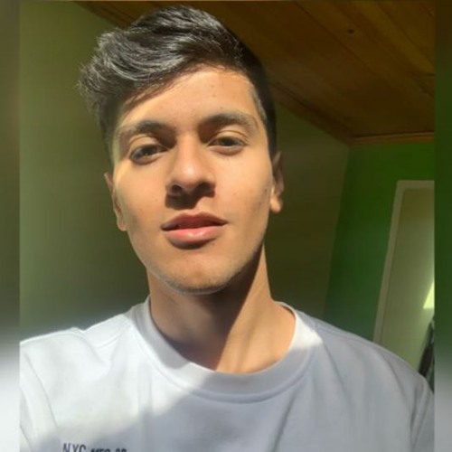 Stream Las profesiones que complementan la vida de Gabriel Pineda by Nicol | Listen online for ...