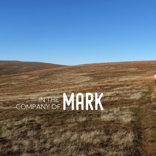 Stream Mark 4-1-20 - The Parable of the Sower - 17.11.19 / Sarah ...
