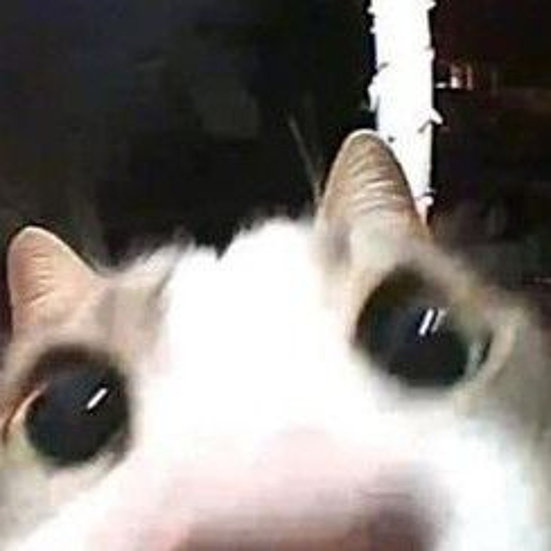 Stream Insanity emote - forsaken by sait (OLD ACCOUNT) | Listen online ...