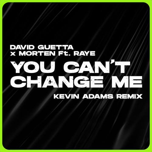 David Guetta & MORTEN - David Guetta x MORTEN (Feat. RAYE) - You Can't ... David Guetta & MORTEN - David Guetta x MORTEN (Feat. RAYE) - You Can't ...