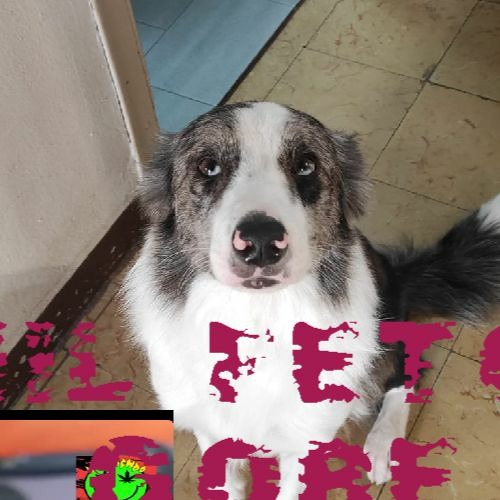 Stream Gore Torture V1 by LIL FETO | Listen online for free on SoundCloud Stream Gore Torture V1 by LIL FETO | Listen online for free on SoundCloud