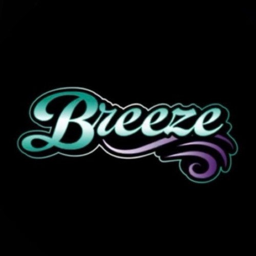 Stream CA Pride Breeze 2024-25 by Isaac Neitzel | Listen online for ...