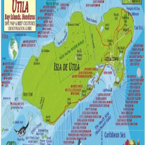 Stream episode ‹download› [pdf] Utila Honduras Dive Map & Reef ...