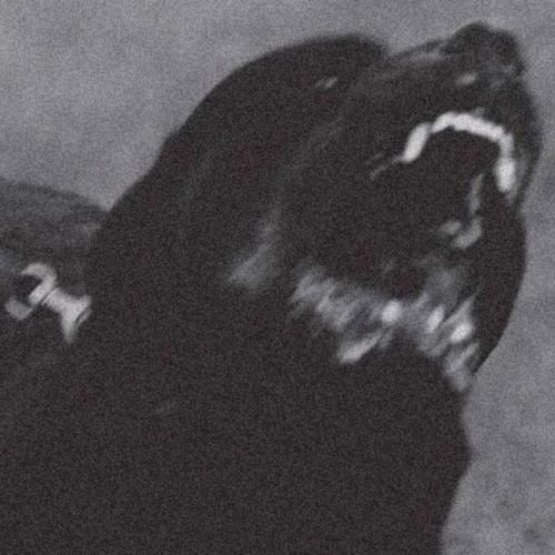 Stream War (Prod. Depo) by Backwood Dagger Archive | Listen online for ...