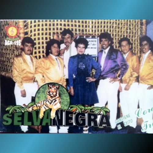 Stream SELVA NEGRA CORAZON TRISTE by CraftHieloQ1 | Listen online for ...