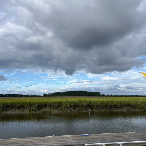 Stream The Elephant in the Room (Contemplation Series) by Ophelia ...