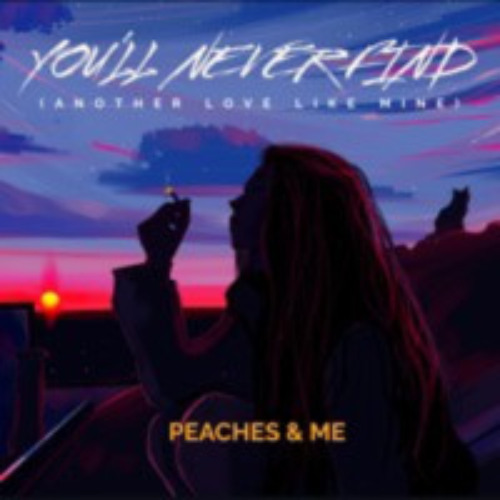 Stream You'll Never Find (Another Love Like Mine) by Peaches & Me ...