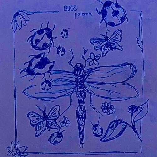 Stream Bugs - Paloma by nicole.dumpit | Listen online for free on ...