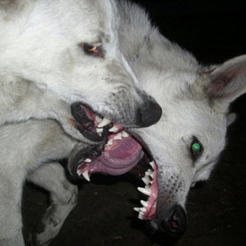 Stream skvad1k | Listen to saint flow / playlist online for free on ...