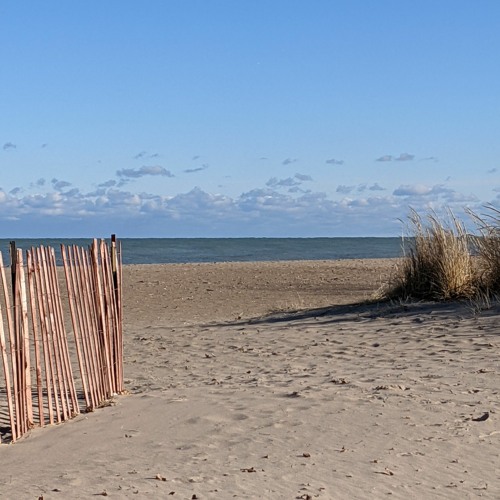 Stream White Christmas Tenor Uke 12-25-2020.mp3 by Bethany Bray ...