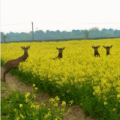 Stream You Got It All by Ghost Outlet | Listen online for free on ...