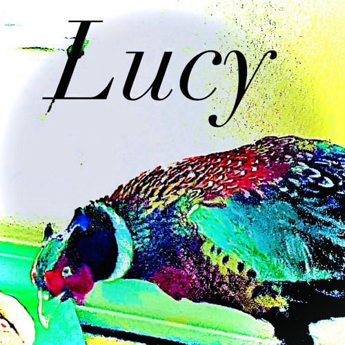 Stream Lucy (Prod. everestdidthis X lmg) by 225 Syko | Listen online ...