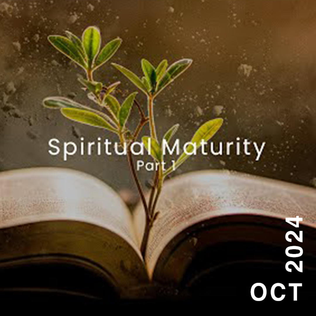 Stream Spiritual Maturity by Little Falls Christian Centre | Listen ...